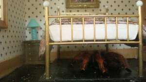 15 Most Common Place Where You Will Find Spiders in Your Home