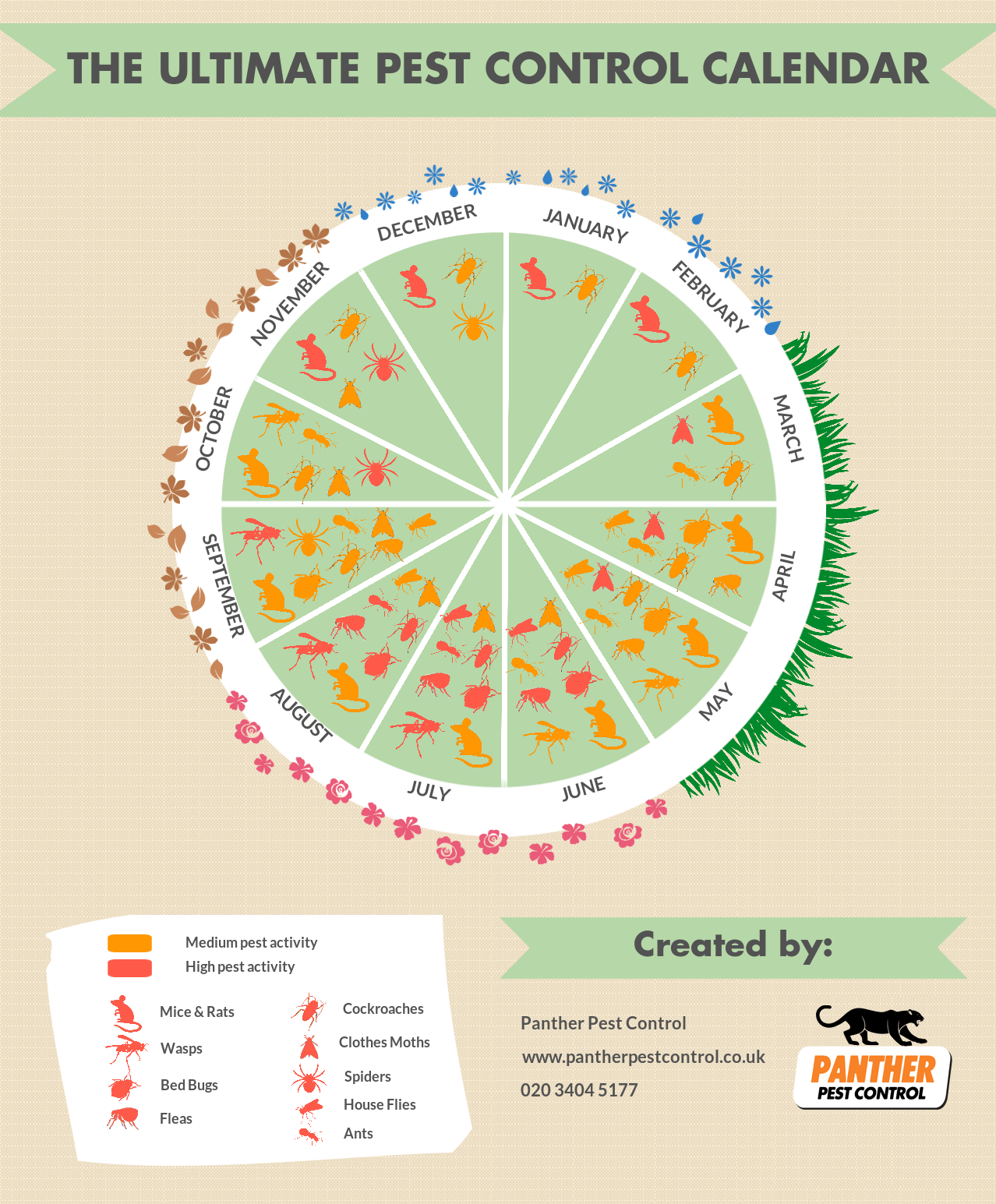 Expert Pest Control Edgware | Vermin Control | Panther Pest Control